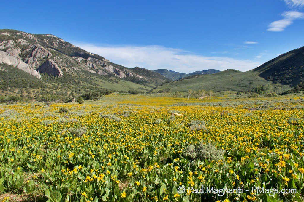 Three days at Cave Lake | PMags.com