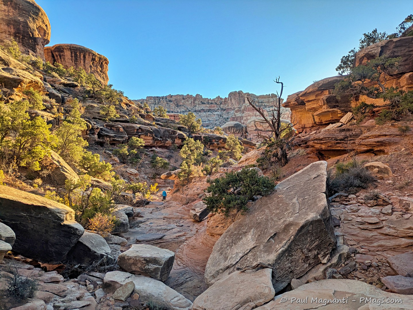 My desert homecoming – PMags.com